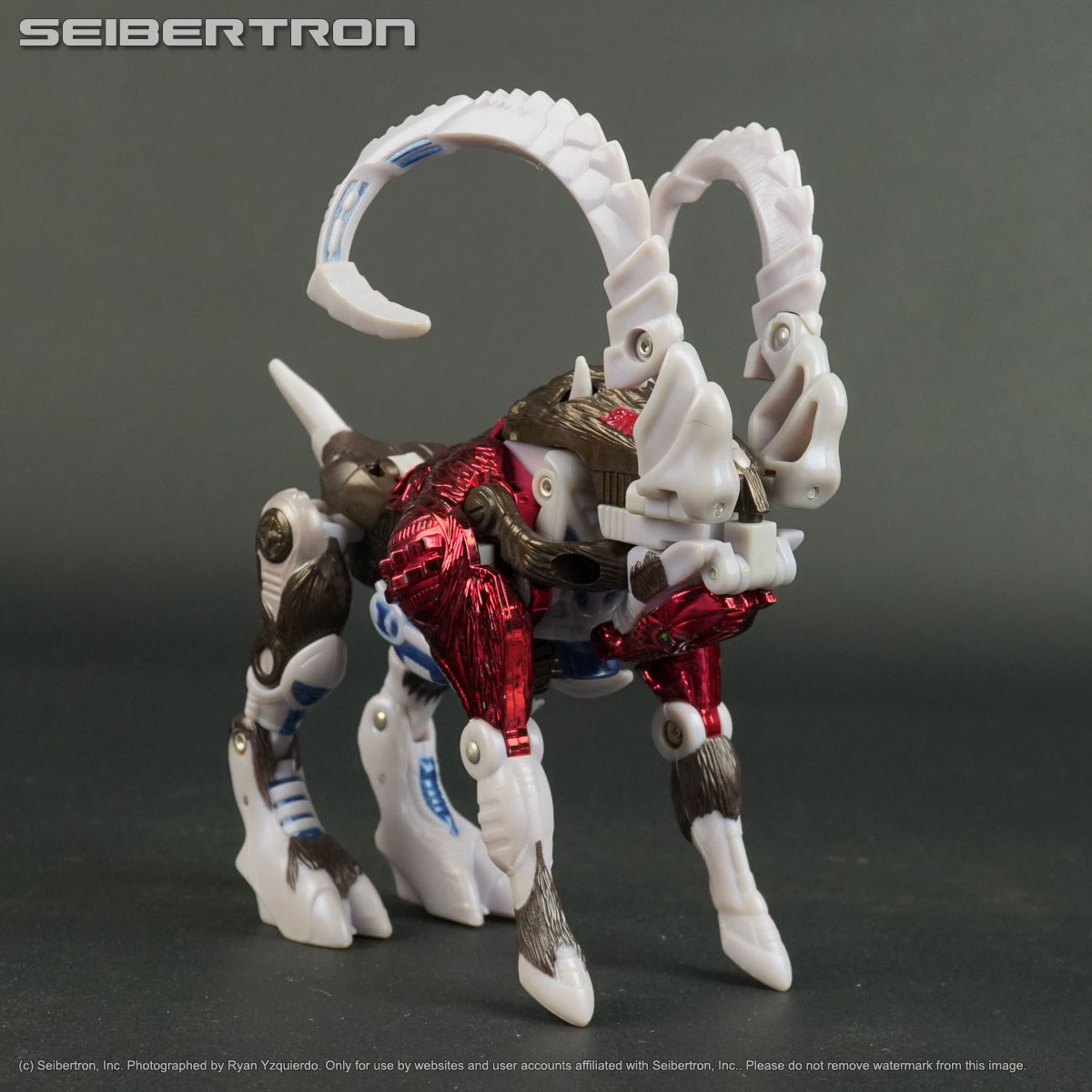 Transmetal RAMULUS Transformers Beast Wars Deluxe complete vtg 1998 ...