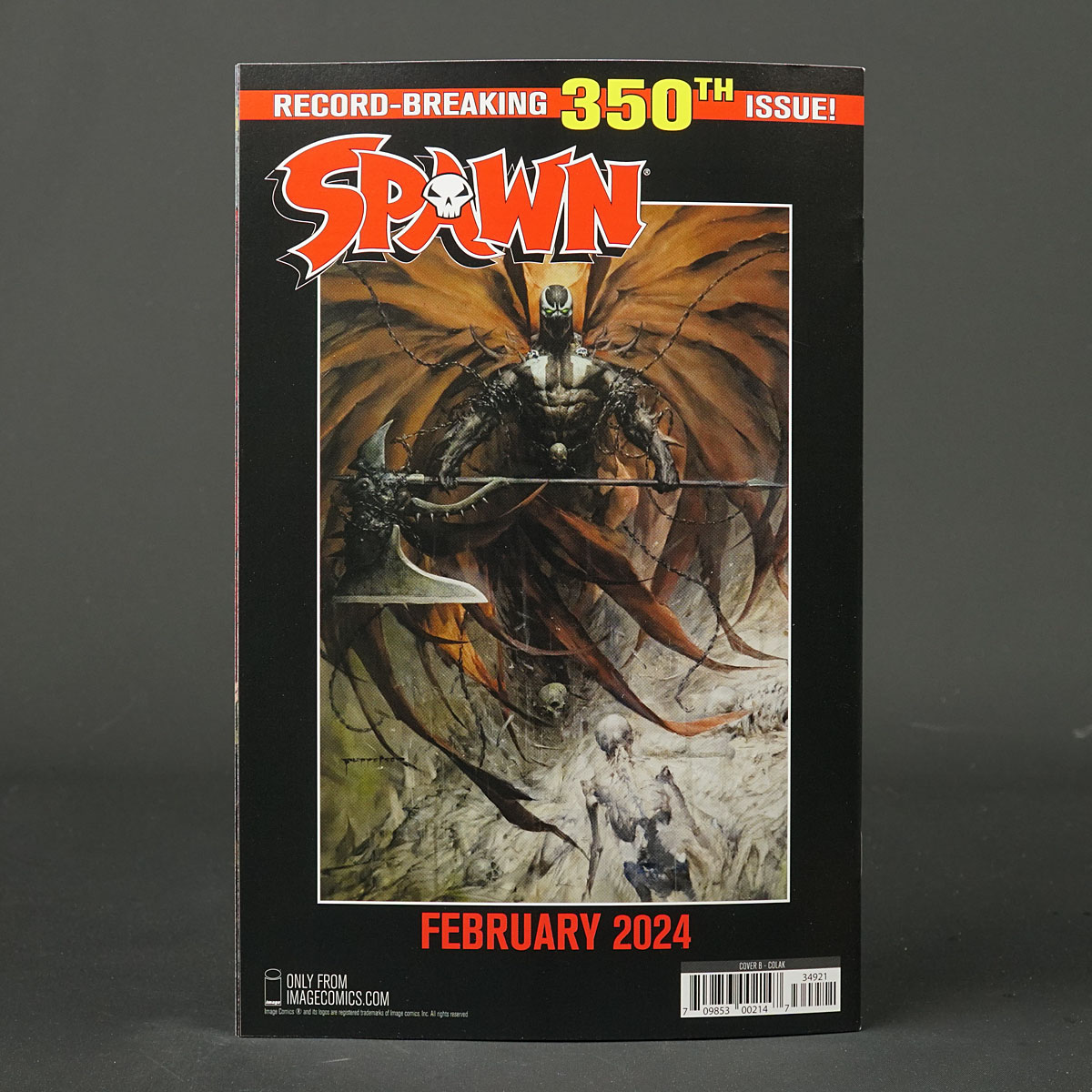 SPAWN #349 Cvr B Image Comics 2024 1023IM374 349B (W) McFarlane (CA ...