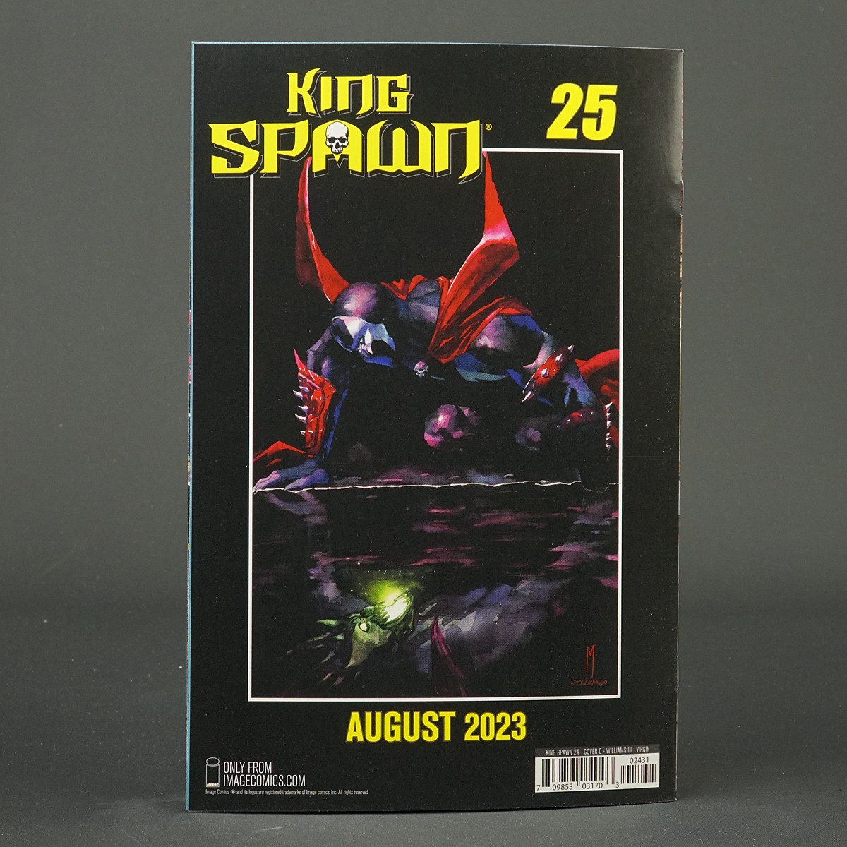 KING SPAWN #24 Cvr C virgin Image Comics 2023 MAY230247 24C (CA) Williams - Seibertron Store ...