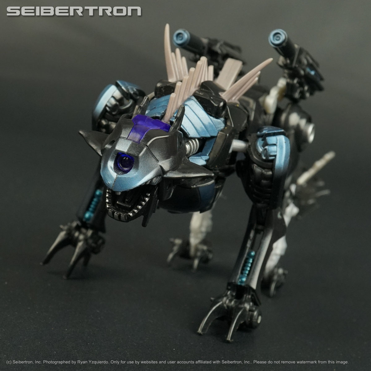 RAVAGE Transformers Revenge Fallen ROTF Deluxe complete Hasbro 2009 ...