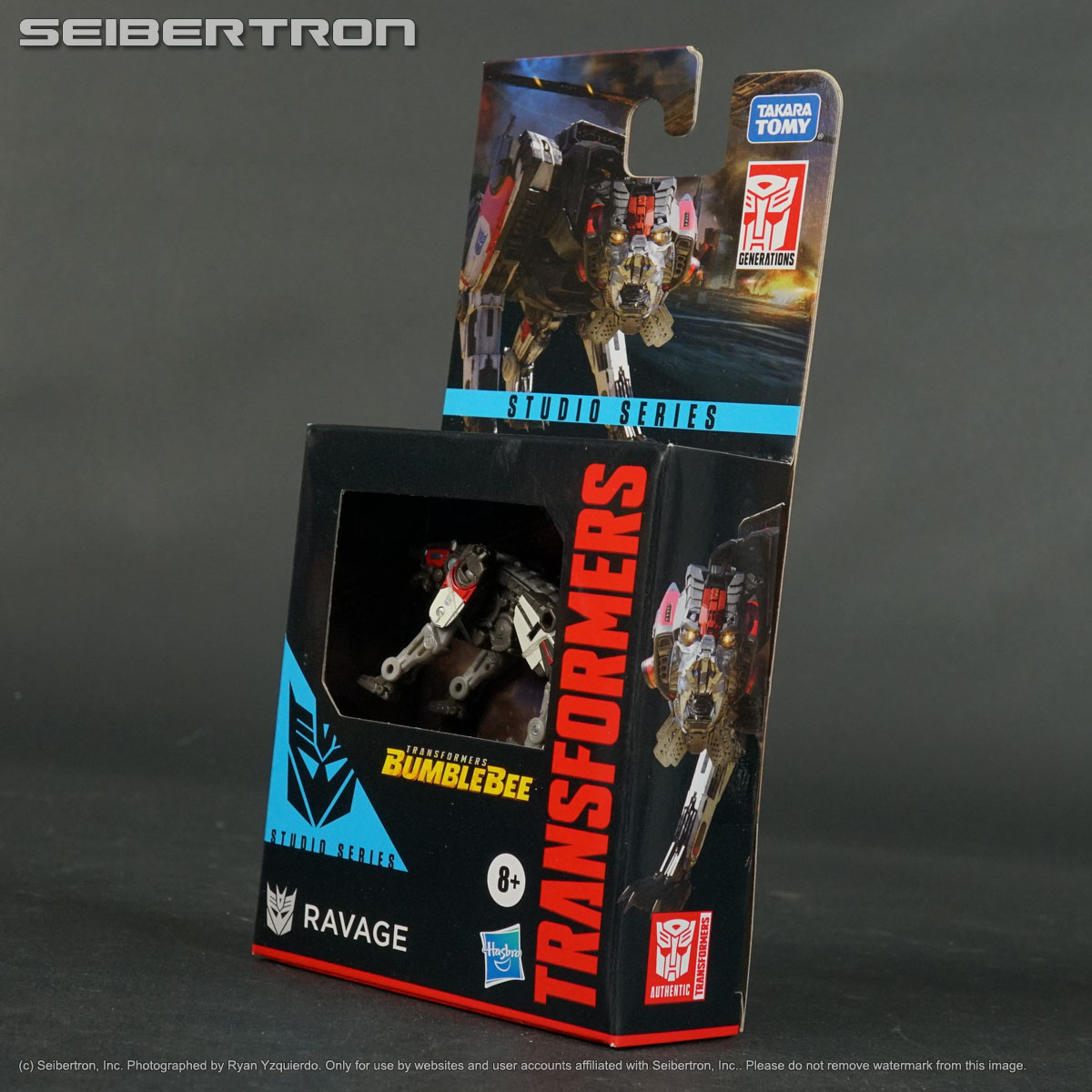 RAVAGE Transformers Studio Series Core Class Bumblebee Hasbro 2022 New ...