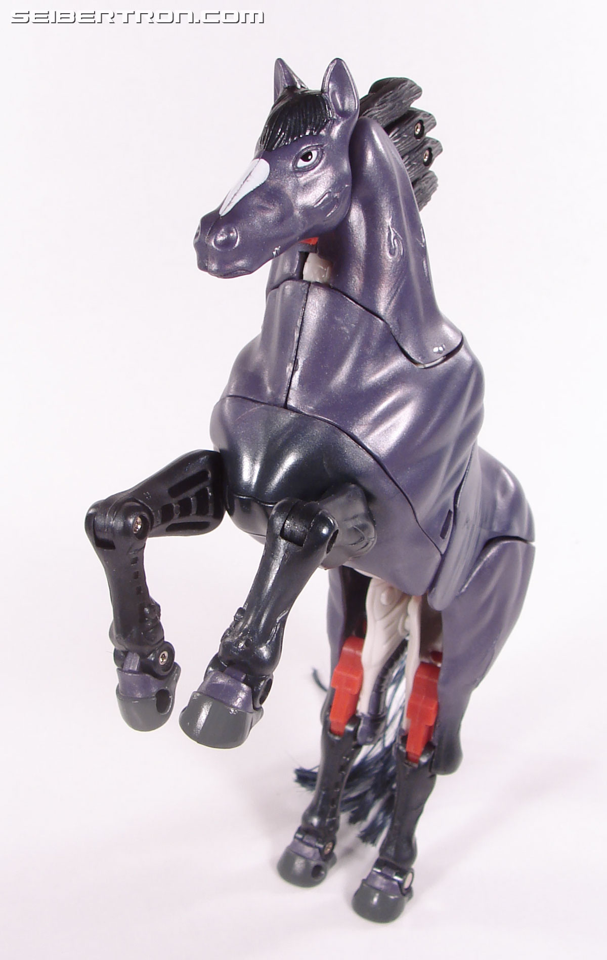 Transformers Beast Wars Neo Mach Kick Toy Gallery (Image #54 of 126)