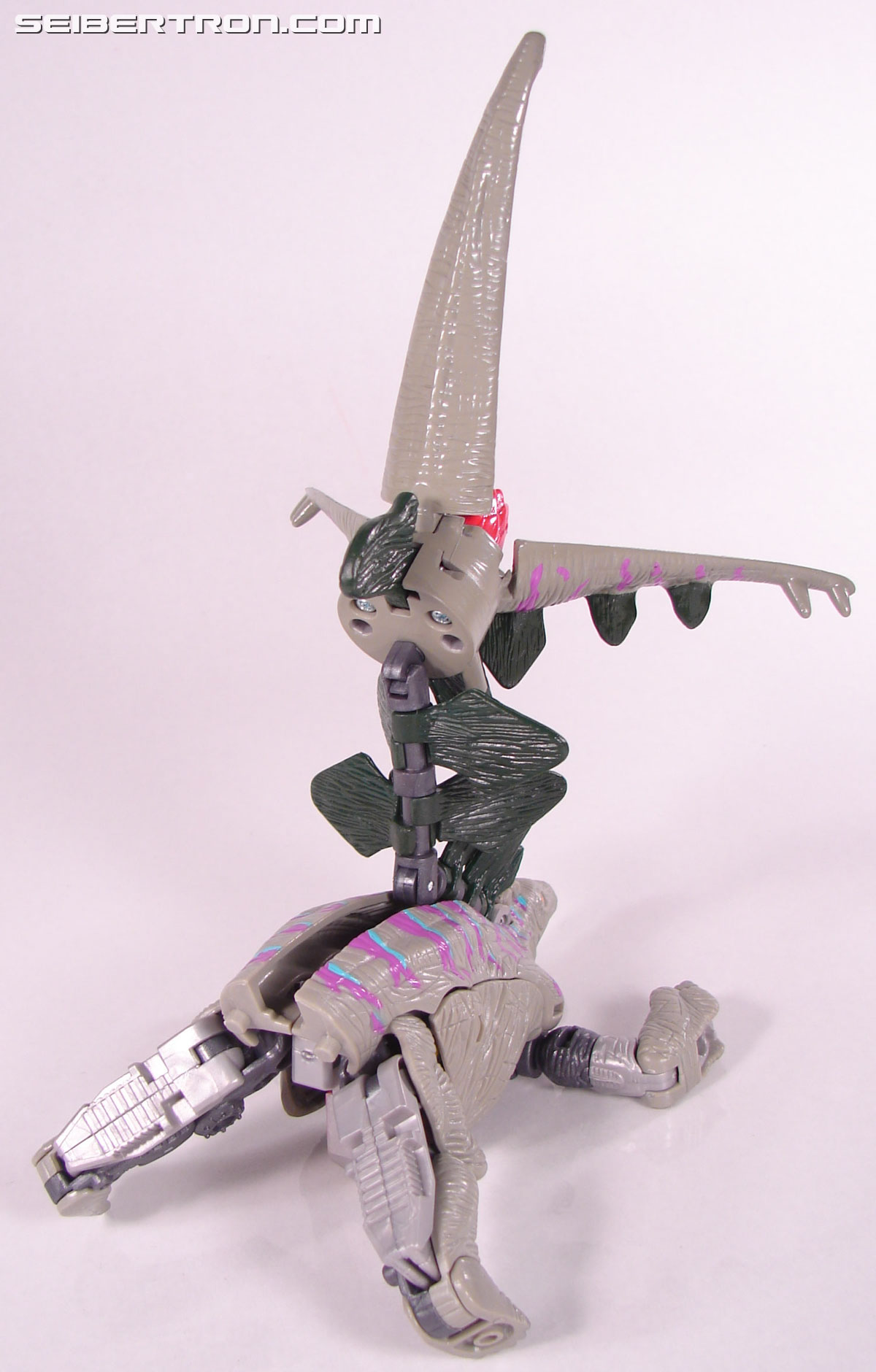 Transformers Beast Wars Neo Saberback Toy Gallery (Image #50 of 82)